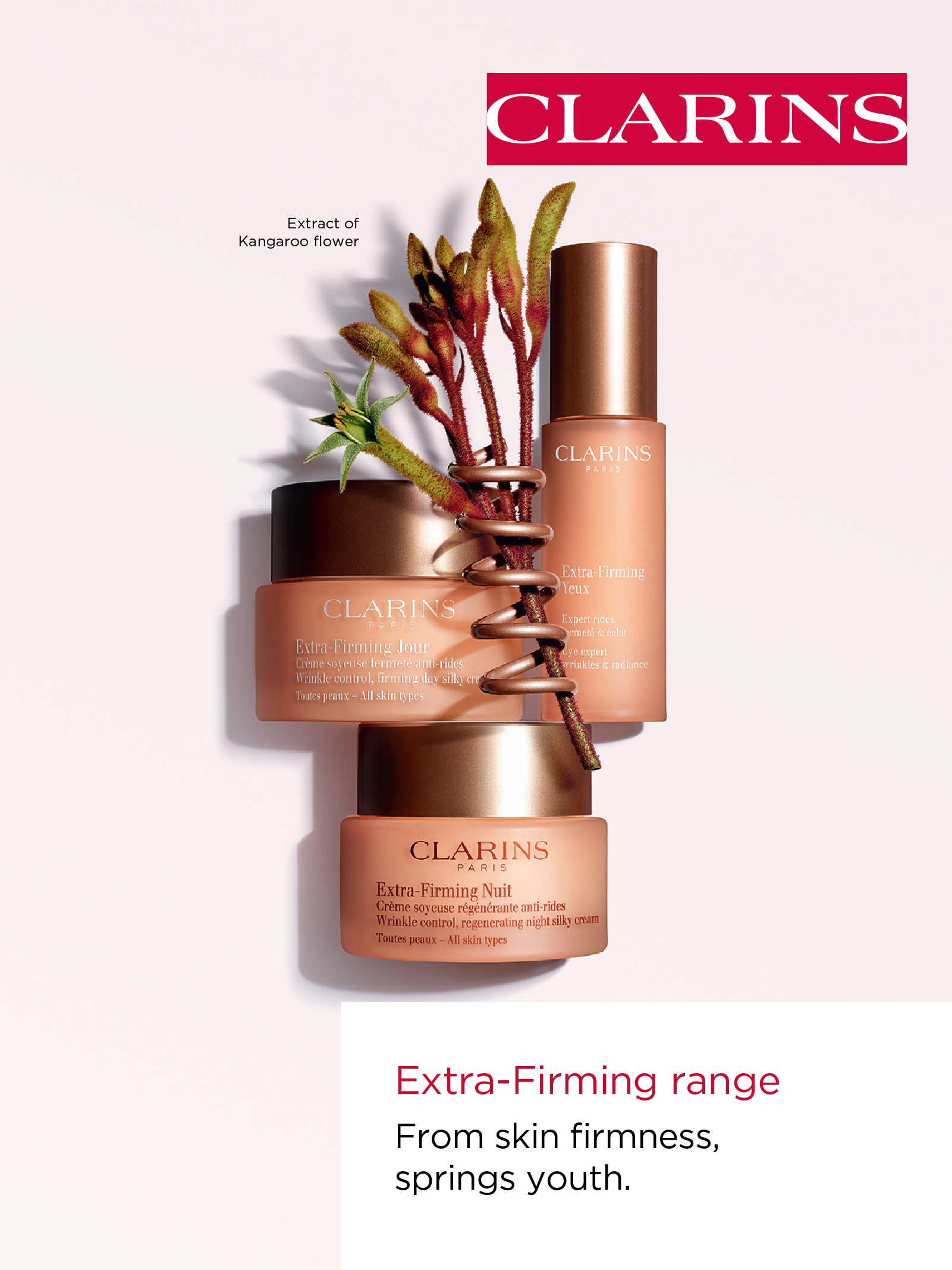 Brochure - CLARINS